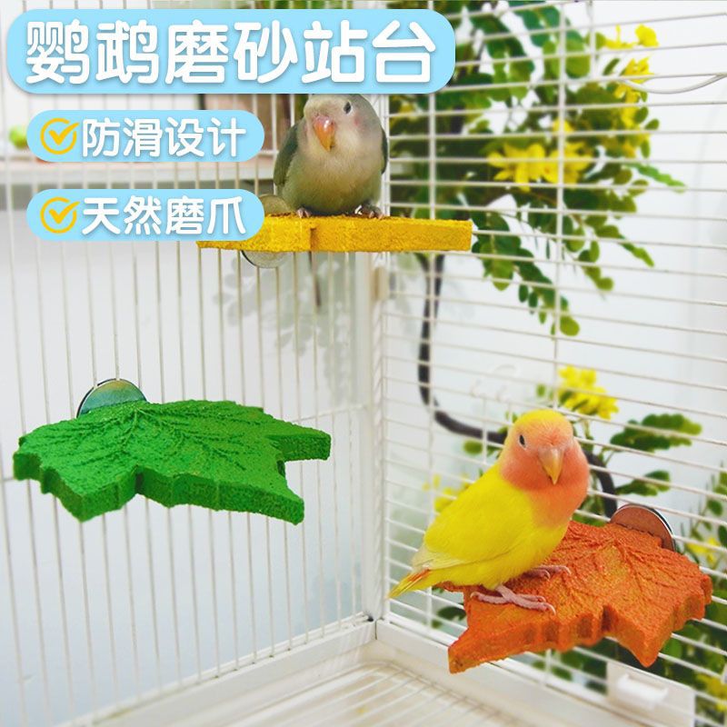 鹦鹉树叶站杆站台鸟笼配件磨牙棒鸟磨爪棒站架枫叶磨砂站台代发