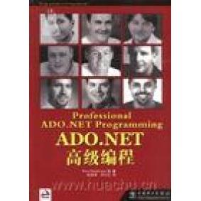 正版新书 ADNET高级编程 (美国)(Dickinson Paul)迪金森 中国电力出版社