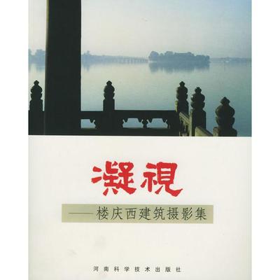 正版新书 凝视：楼庆西建筑摄影集 楼庆西 摄 河南科学技术出版社