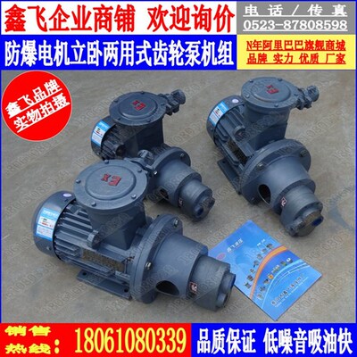 LWBZ-40 LWBZ-50 LWBZ-63立卧式齿轮泵电机组 防爆油泵装置FB