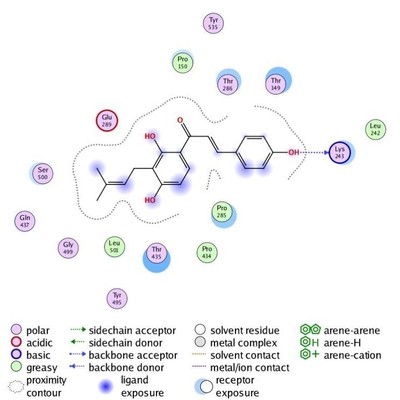 Discovery studio/MOE分子对接 blast序列比对