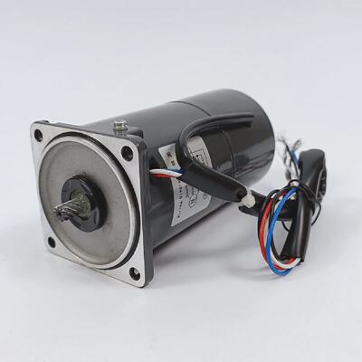 Moteur De Frein ZD 2RK6GNCM 6W 220V