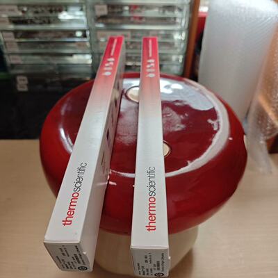 议价Z 赛默飞70105-254630液相色谱柱。BetaSil