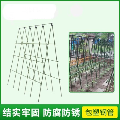 Metal Garden Trellis 园艺支柱包塑钢管植物支架爬藤花架爬藤架