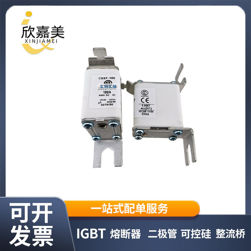GBSF-100 低压快速熔断器电子元器件 库存充足全新原装封装标准
