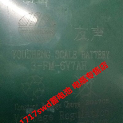 YOUSHENG友声蓄电池 3-FM-6V7AH 6V7AH 玩具车 电子称 台秤用电瓶