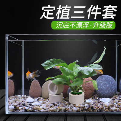 水草养鱼固定定植培植三件套