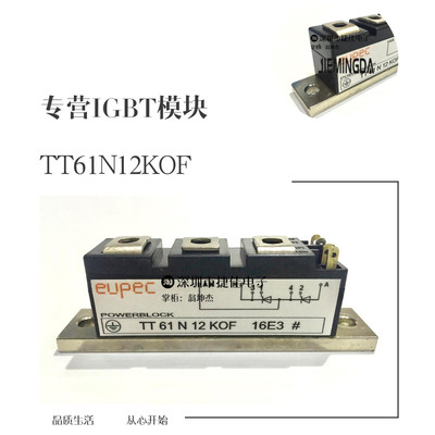 TT61N12KOF TT61N14KOF TT61N16KOF TT95N12KOF TT60N16KOF现货
