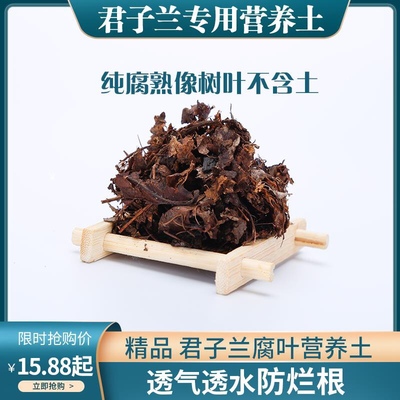 小焦君子兰土腐叶土橡树腐叶土有机营养土培养蓖麻子花土腐熟