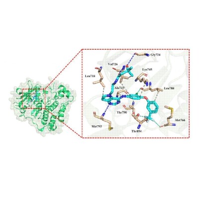 分子对接二维三维可视化作图