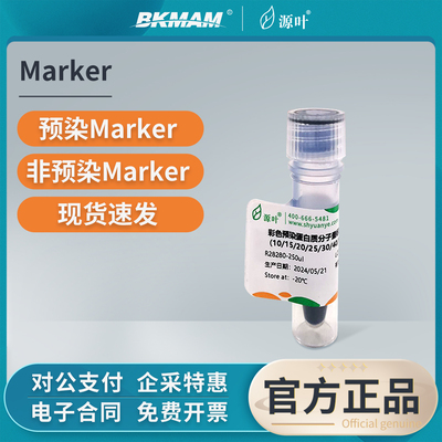 源叶凝胶电泳-Marker预染/非预染