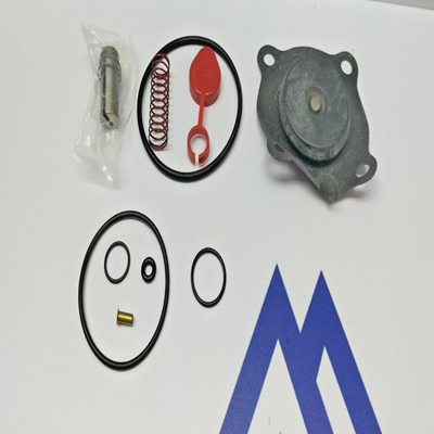 AscoVentil172623berholungsset00-114299Reparaturset