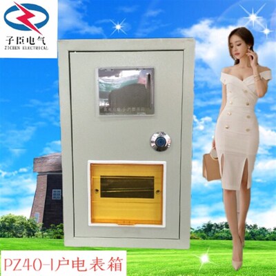 合肥子臣 配电箱防护箱照明家用PZ40电表箱1户明装6回路明暗