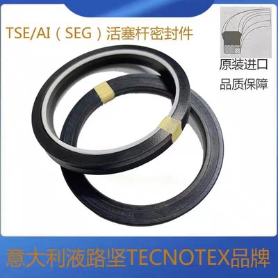 进口意大利TECNOTEX油封TSE255196/374314/326248SEG液路坚密封圈