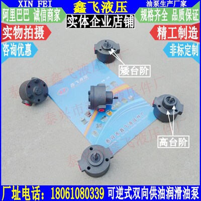 1RA-2FS CRA CYP DRA IRA BMB-3FS润滑泵 可逆式摆线双向油泵DRP
