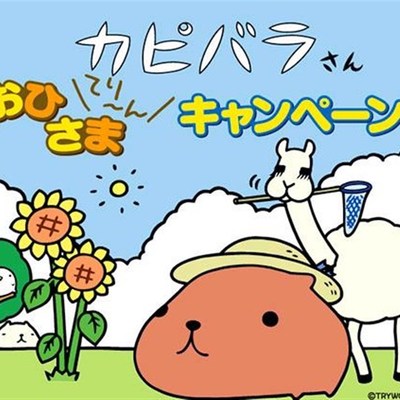 水獭君水豚君温泉鼠仓鼠特大抱枕睡觉枕毛绒玩偶靠垫趴趴公仔