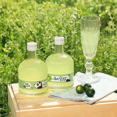 精品果酒瓶冷萃玻璃瓶饮料酿酒瓶分装瓶大口透明空瓶250300350ML