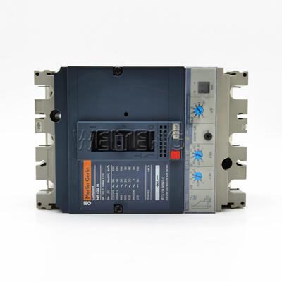 隆兴9年老店 Merlin Gerin断路器 NS100N STR22SE 空开100A  三*