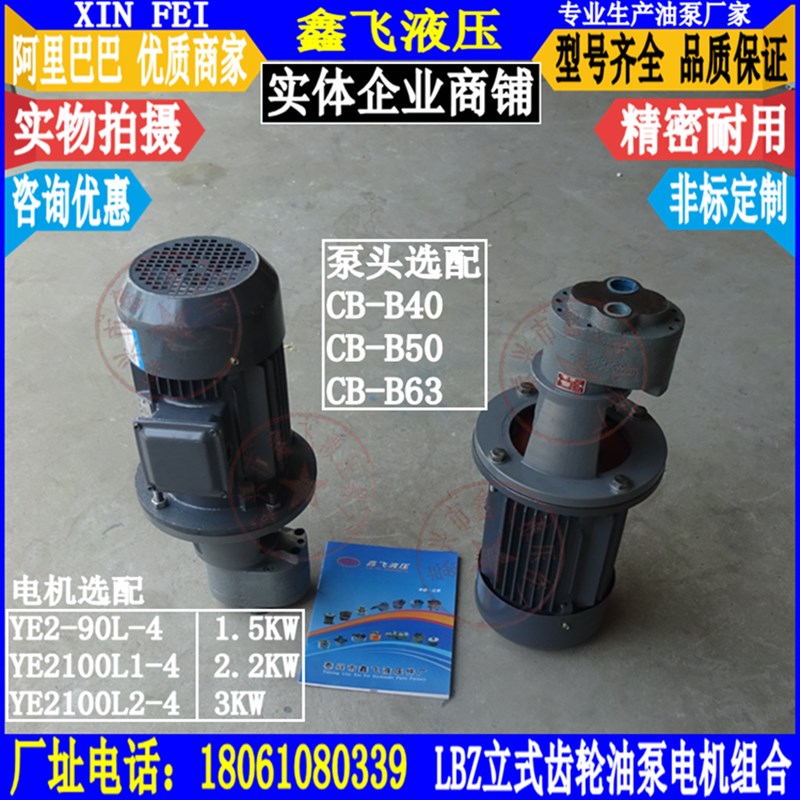 LBZ-40 LWBZ2-CB-B40齿轮油泵电机组 立式油泵装置 齿轮泵 液压泵
