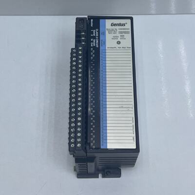 通用电气FANUCGENIUSIC660TBD024N模块IC660EBD024X1