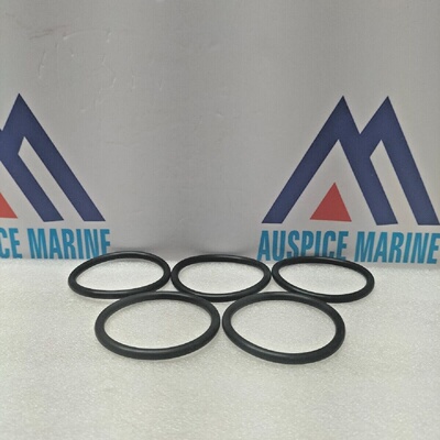 Wartsila 218099001 O Anneau Pour W6L207166  Ensemble De 5 Pi