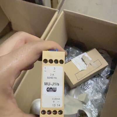 议价GMW继电器MUJ1s2A5060Hz适用