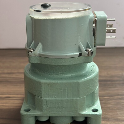 （请询价）OVALNPI45B10364cc阀位指示器备件