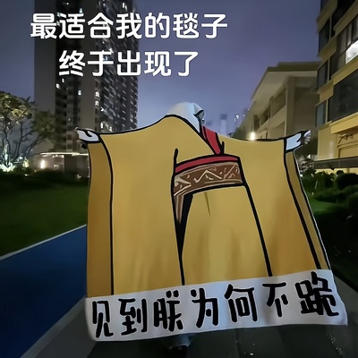 夏季空调毯龙图见朕为何不跪搞怪毯子宿舍午睡毯搞笑床上小毯子