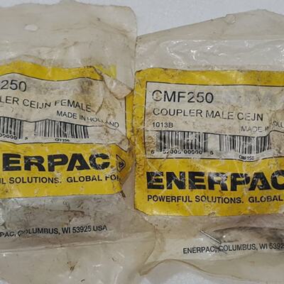 Enerpac CFF250  CMF250 Cejn Hembra  Macho Acoplador 115 1422