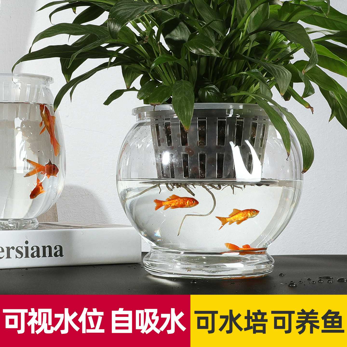懒人自动吸水花盆透明圆形清仓塑料盆简约仿陶瓷绿萝室内水培花盆