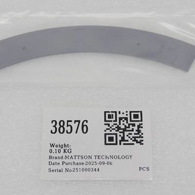 38576 MATTSON TECHNOLOGY SI RING SEGMENT FOR 12INCH CARRIER
