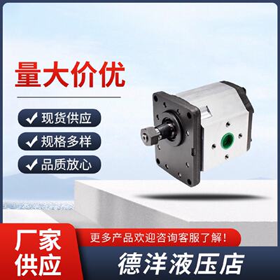 溢价-西班牙ROQUET齿轮泵1L126916182224DE101L12DE10B液压油泵