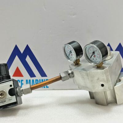 Vanne Riegler 717 Avec Manomtre 0510 BAR 7145 PSI