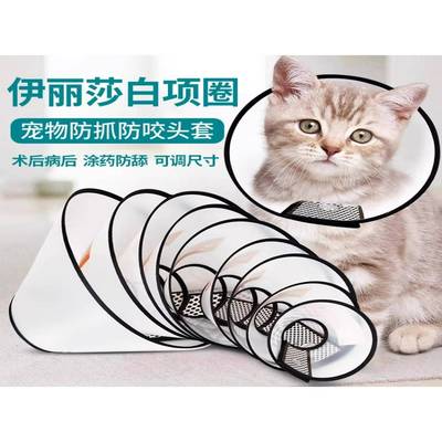 伊丽莎白圈狗狗猫咪项圈头套防舔防水耻辱圈绝育利莉沙白猫咪用品