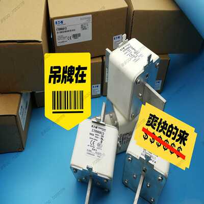 询价~巴斯曼熔断器170M6813  170M6808 170M6