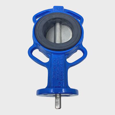 My FIG.115N Water Flap for Industrial Use 10 BAR CF.8M FIG.1