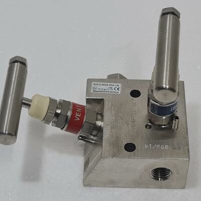 AGCO ASTM A479 SS316L 14 NPT VANNES M28 3NA ROYAUMEUNI