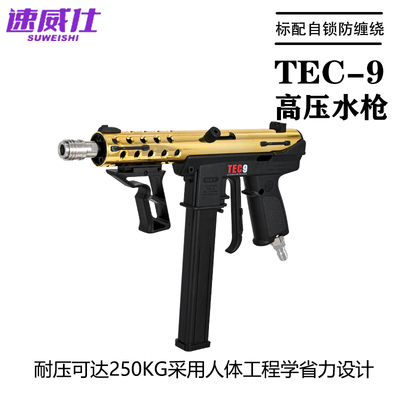 速威仕TCE9高压水枪洗车机