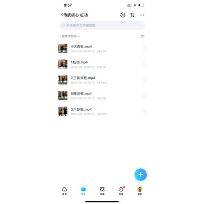 传武核心桩功三体式降龙桩八卦桩伏虎桩传统桩功详解