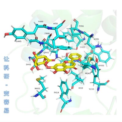 第一性原理vasp代算dft计算cp2k代算高斯计算MS分子动力学密度泛
