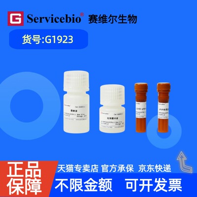 现货 赛维尔生物Servicebio Caspase-9活性检测试剂盒（比色法） G1923 50T  科研实验