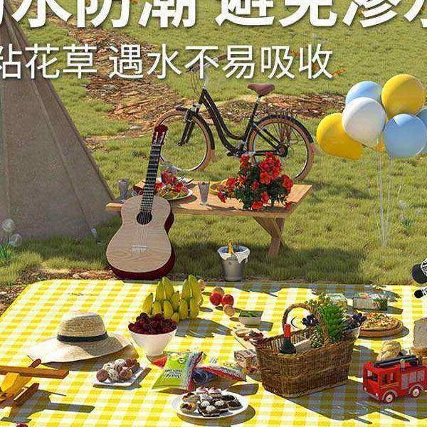 格子图案户外野餐野餐垫加厚防水防潮垫便携户外露营草坪垫子其他