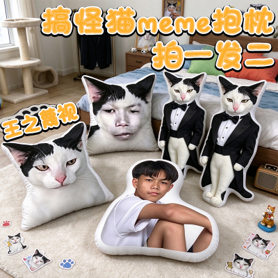 搞怪猫咪表情包蛋宰派对抱枕