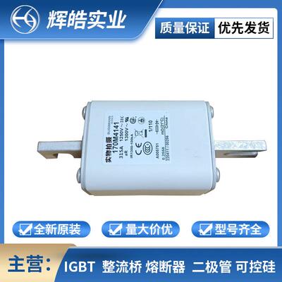 170M4141/170M5015/170M5138熔断器熔断器配件电子元器件