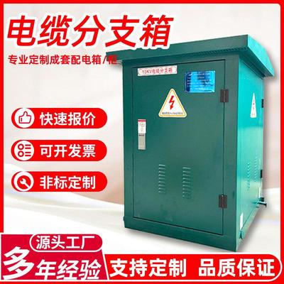 10kv高压电缆分支箱dwf-20/630一进二三四出户外欧式不锈钢分接箱