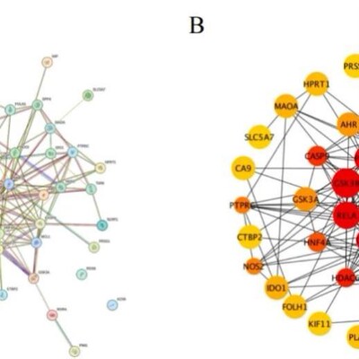 网络药理学单味药复方药网络毒理学机器学习sci创新点多组学联合