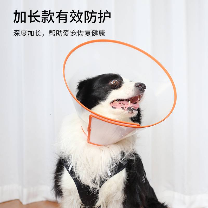 跨境新品宠物伊丽莎白圈 透明橙色PU包边防舔防咬圈 美容头套项圈