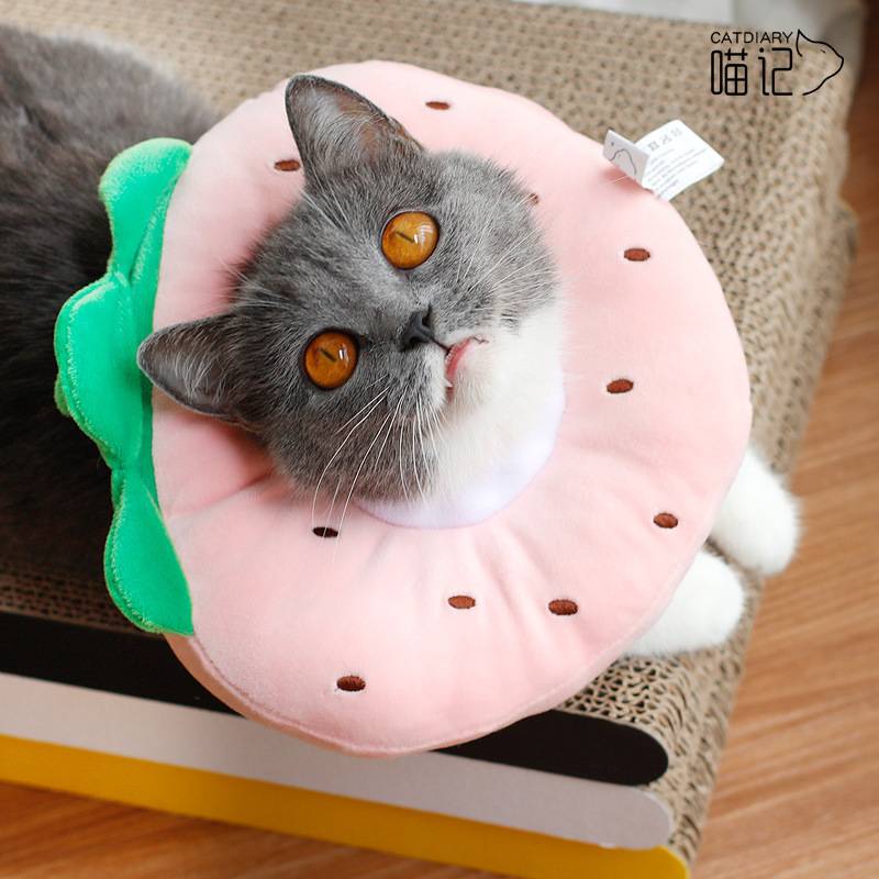宠物伊丽莎白圈猫咪术后防咬项圈耻辱圈脖软项圈猫狗美容头套防护