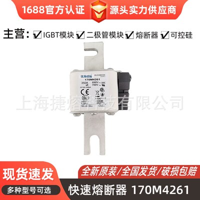 170M4261 170M4262 170M4263低压熔断器 电子元器件全新现货直发