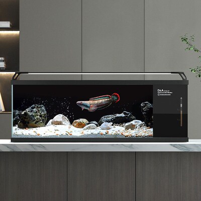 德克桌面溪流缸野采造景生态缸客厅雷龙鱼缸过滤制氧一体机水族箱